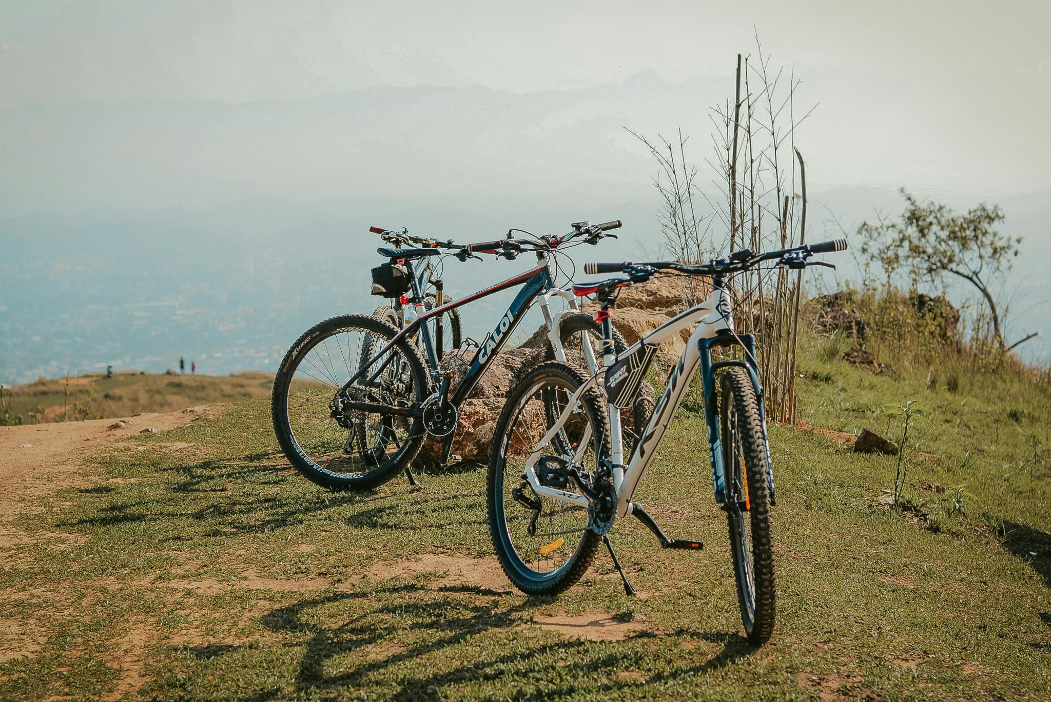 Best Budget Mountain Bikes of 2025 - BikeScout