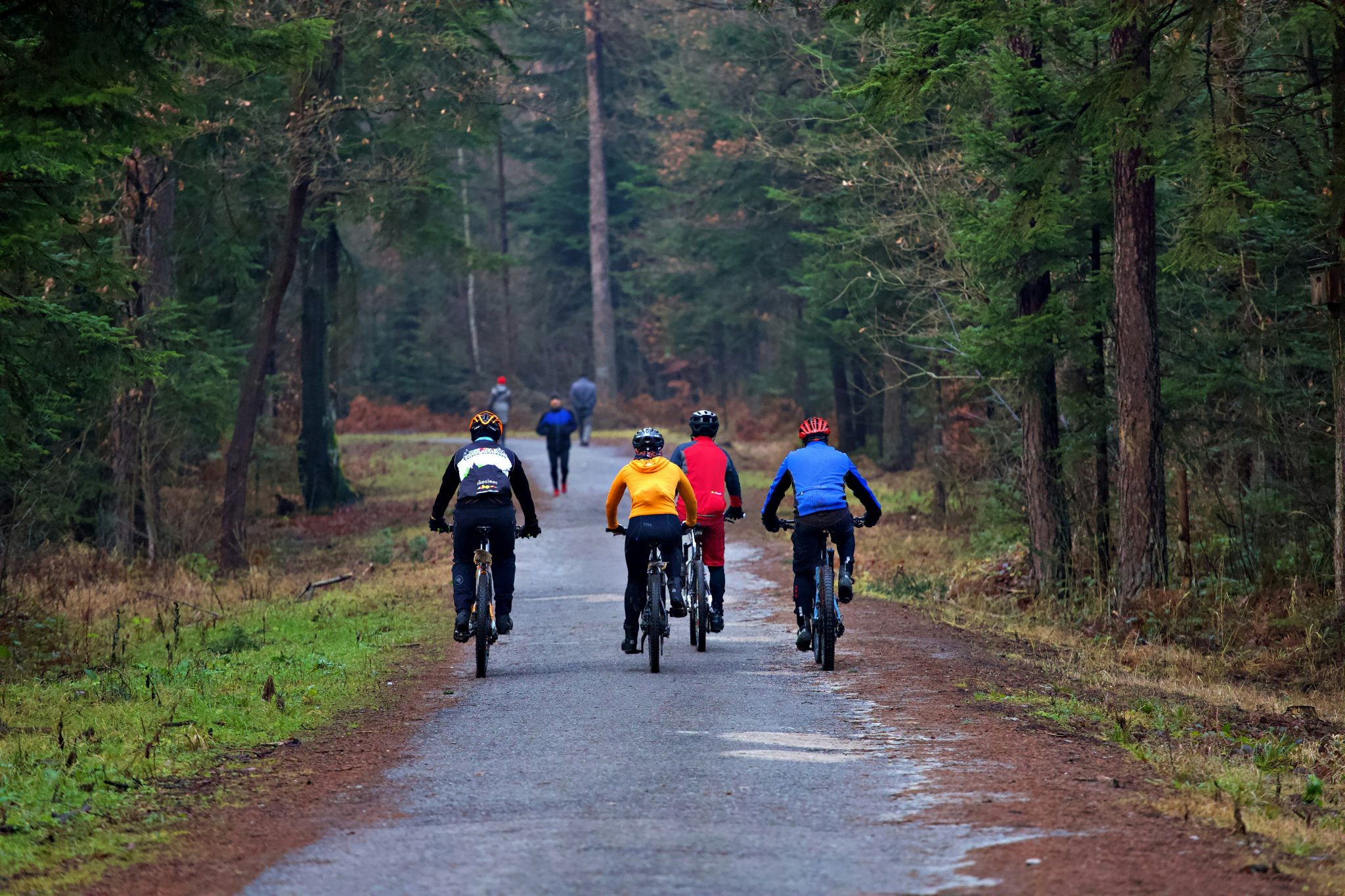 Best Beginner Mountain Bike: Top Picks for 2025 - BikeScout